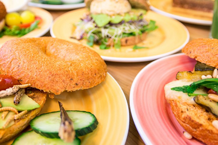 Bagels, Beans en... Bugs?