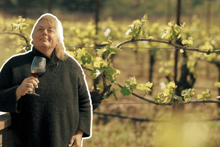 Op bezoek bij Dutcher Crossing Winery in een van Amerika's topwijnregio