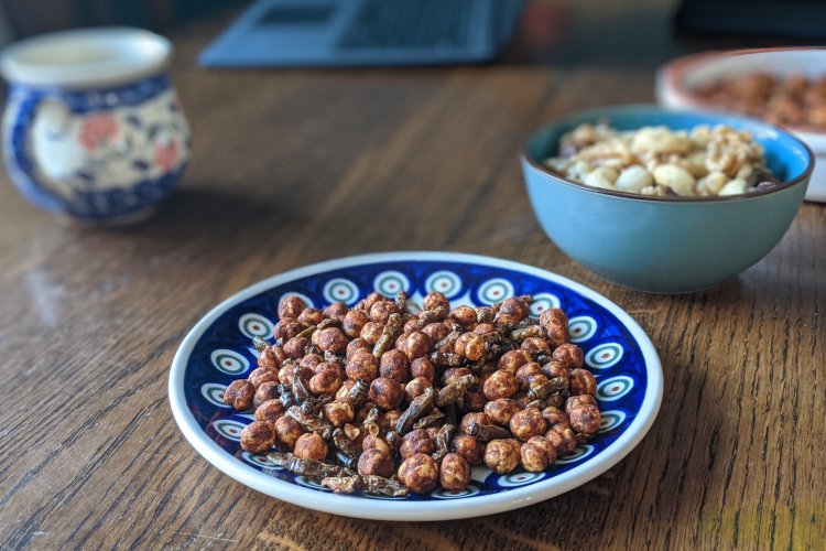 Over 3 jaar eten we allemaal insecten