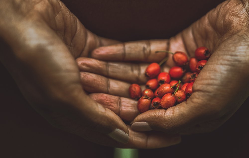 The sustainable food route at restaurant Knystaforsen