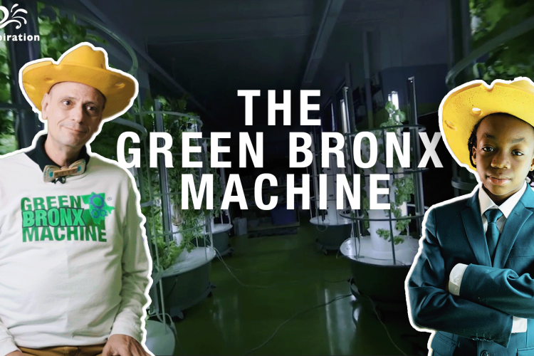 Het bijzondere verhaal van Stephen Ritz en zijn groene klaslokaal in ...