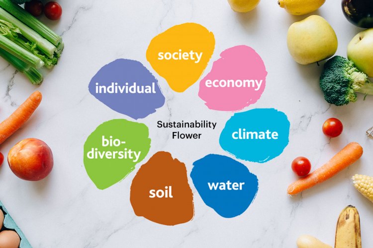 The rise of true cost