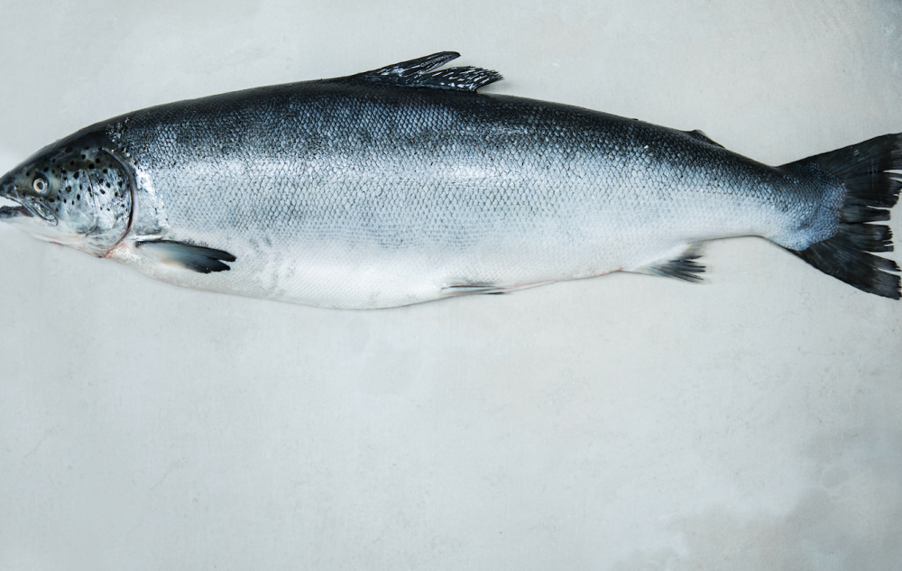 Is je gerecht instagrammable?