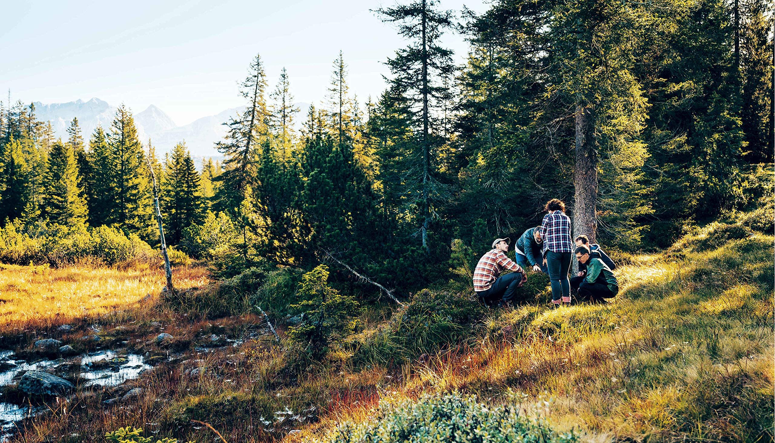 Mountain cooking as a philosophy for sustainable fine dining